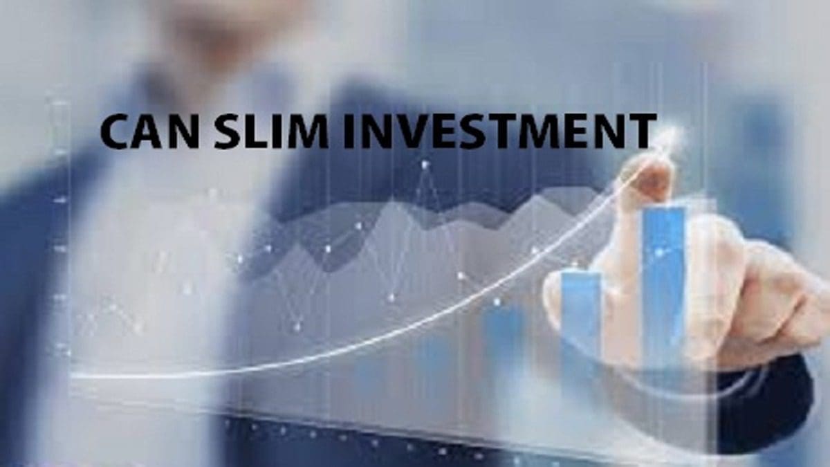 Can Slim Investing System Review and Guide - StockManiacs