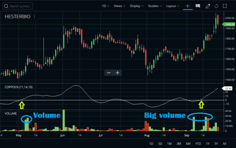 Coppock Curve Indicator: Calculation & Strategy - StockManiacs