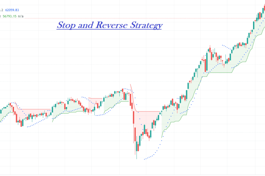 What are the Stop and Reverse Strategy? - StockManiacs